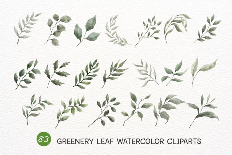 83 Watercolor Leaf Clipart PNG, Greenery Botanical Leaves Bundle, Hand ...