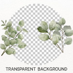 Watercolor Eucalyptus Clipart, Greenery Leaves PNG, Wedding Wreath ...