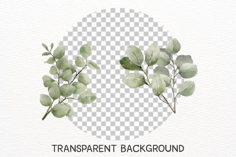 Watercolor Eucalyptus Clipart, Greenery Leaves PNG, Wedding Wreath ...