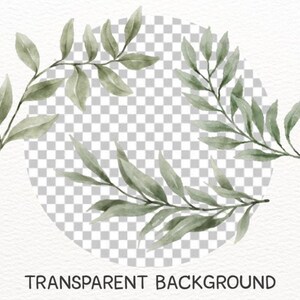 83 Watercolor Leaf Clipart PNG, Greenery Botanical Leaves Bundle, Hand ...