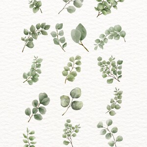 Watercolor Eucalyptus Clipart, Greenery Leaves PNG, Wedding Wreath ...