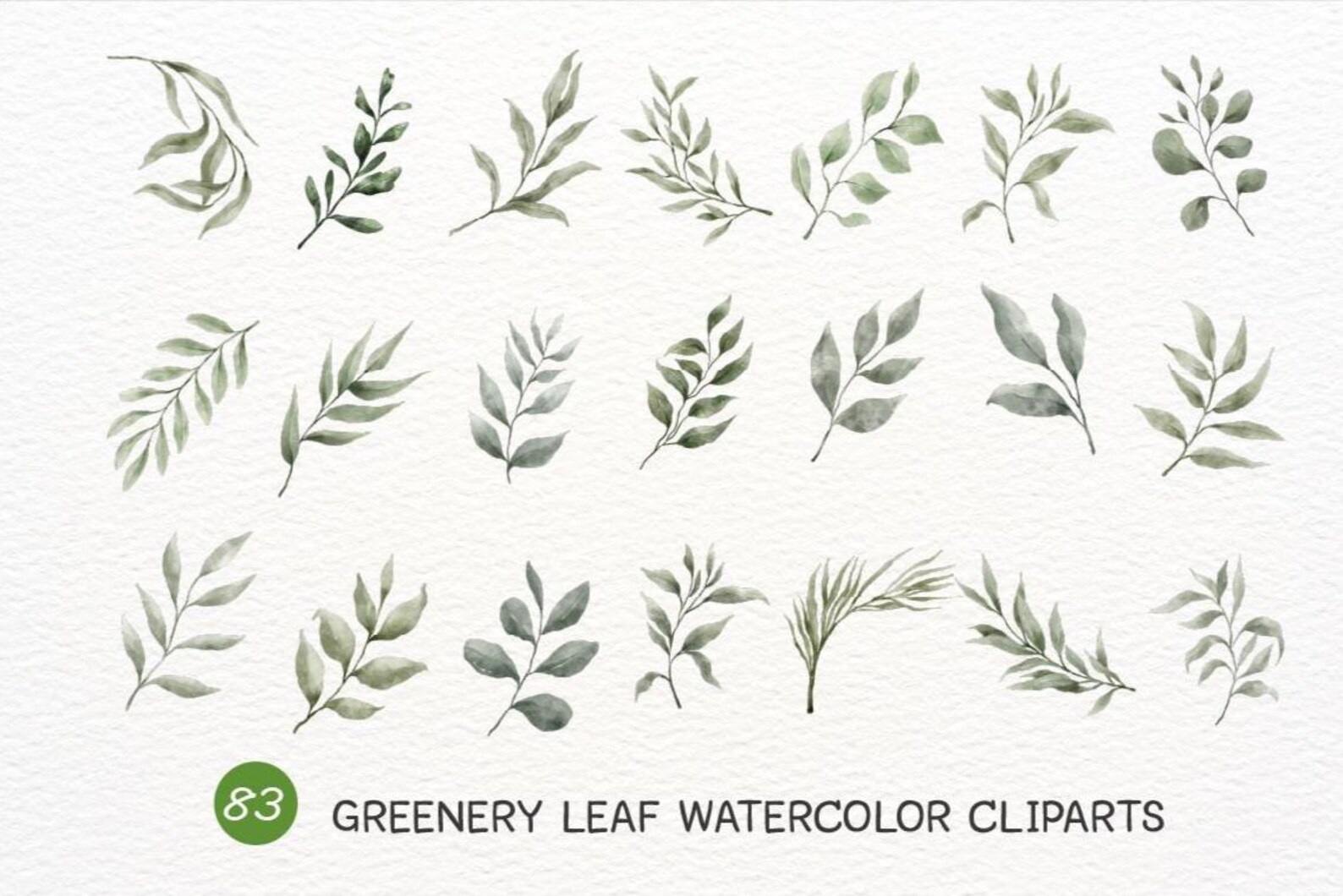 83 Watercolor Leaf Clipart PNG, Greenery Botanical Leaves Bundle, Hand ...
