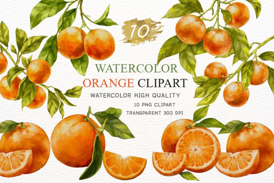 Orange Watercolor Clipart PNG, Hand-painted Citrus Branches and Slices ...
