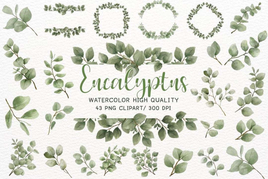 Watercolor Eucalyptus Clipart, Greenery Leaves PNG, Wedding Wreath ...