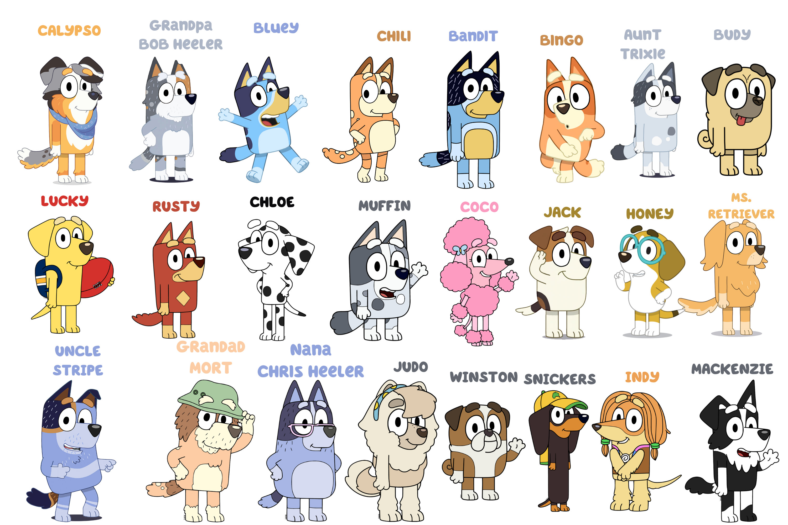 Personalized Bluey Shirt, Custom Bluey Characters Shirt, Bluey Gift ...