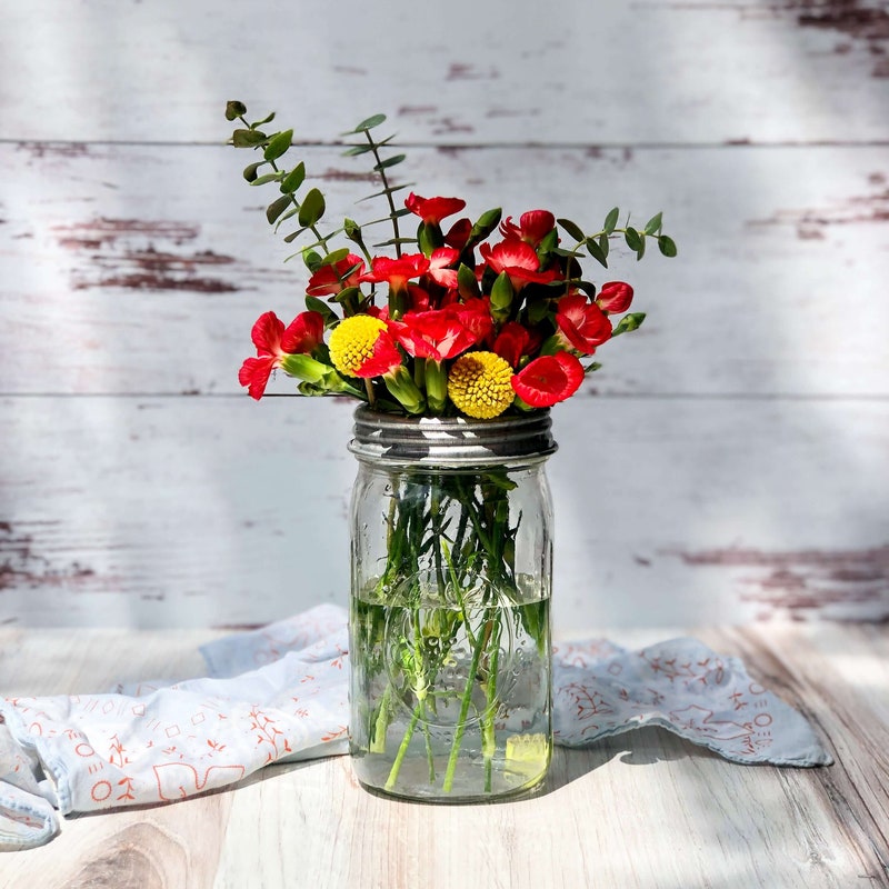 Mason Jar Frog Lid - Etsy