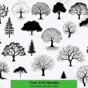 Tree Svg Bundle, Family Tree Svg Bundle, Tree Roots Svg, Our Roots SVG ...