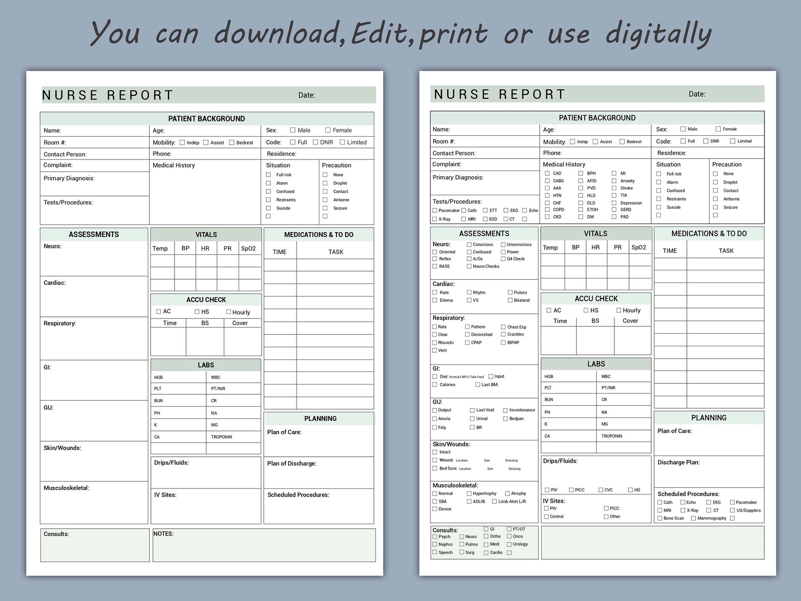 Editable Nurse Report Sheet: Patient Assessment (printable PDF) - Etsy
