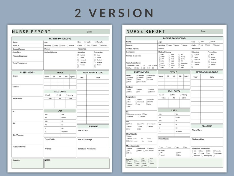 Editable Nurse Report Sheet: Patient Assessment (printable PDF) - Etsy