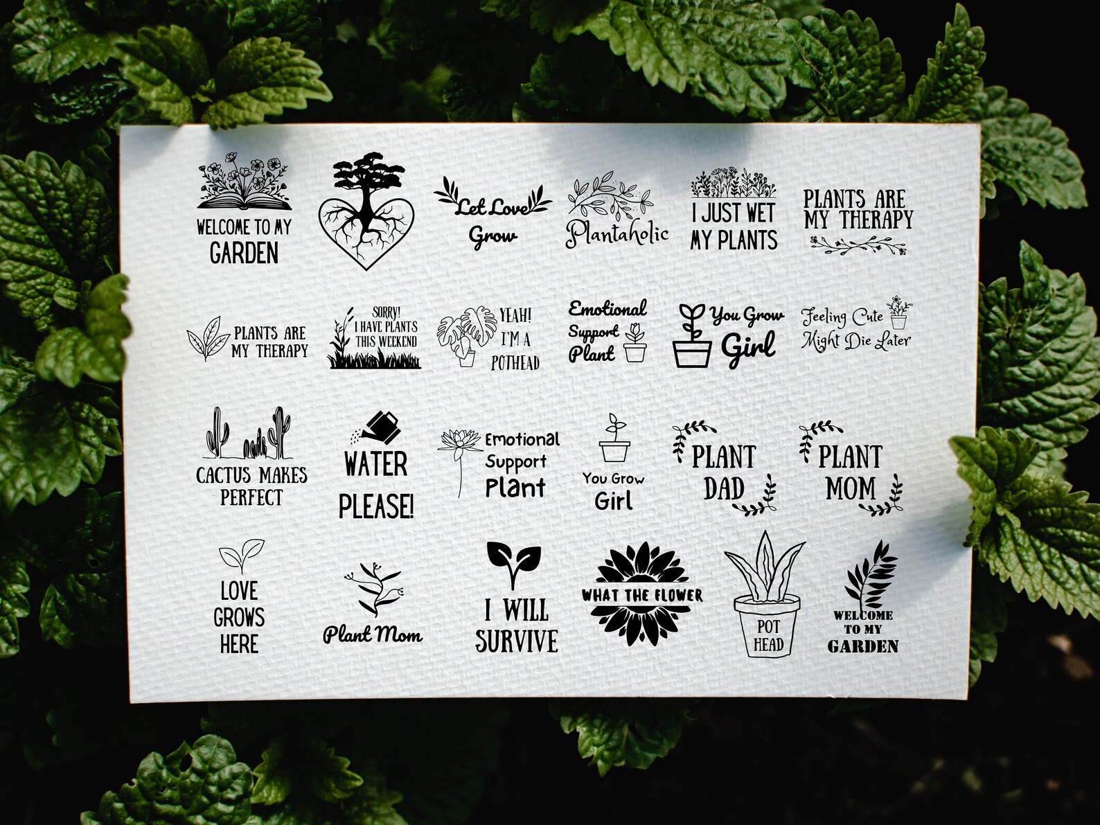 Plant Lover Svg Bundle, Funny Gardening Svg Bundle, Plant Mom Svg ...