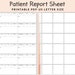 Patient Report Sheet: Medical & Nursing Report Template (editable PDF ...