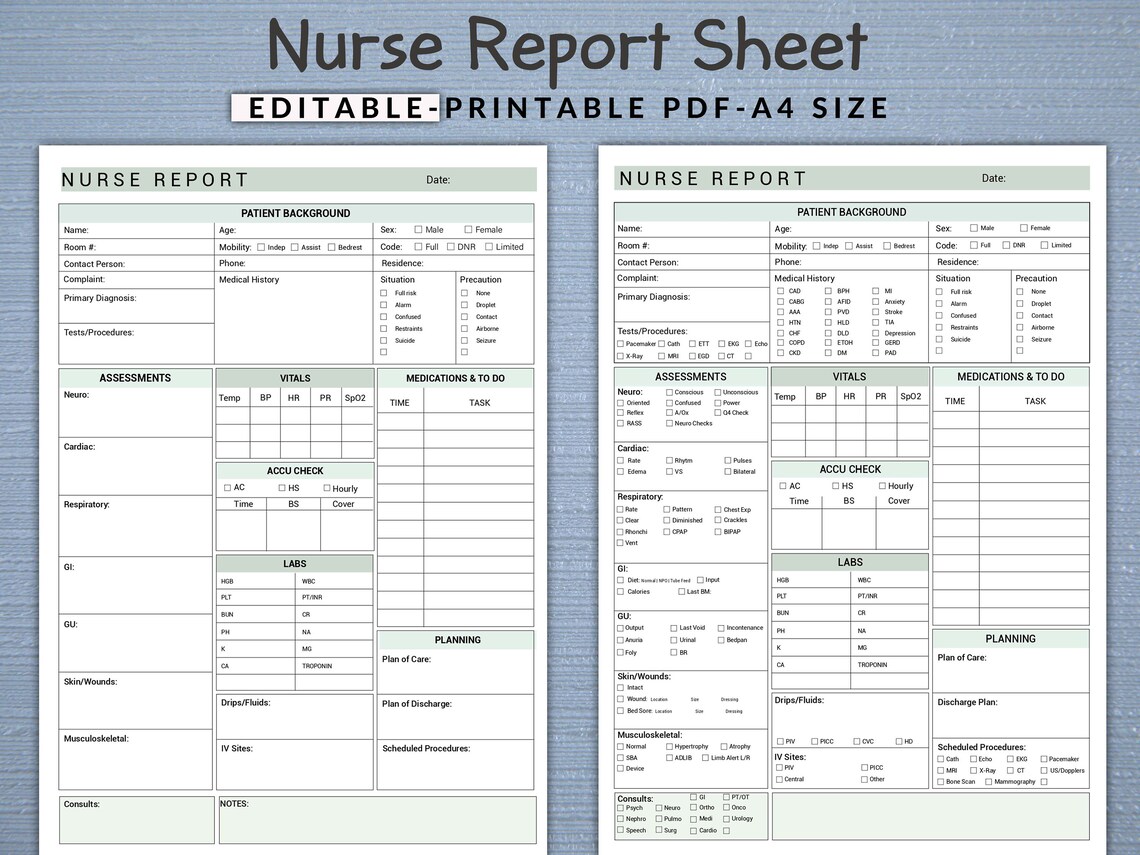 Editable Nurse Report Sheet: Patient Assessment (printable PDF) - Etsy