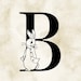 Peter Rabbit SVG | Initial 26 Individual Design | Cut File on Cricut ...