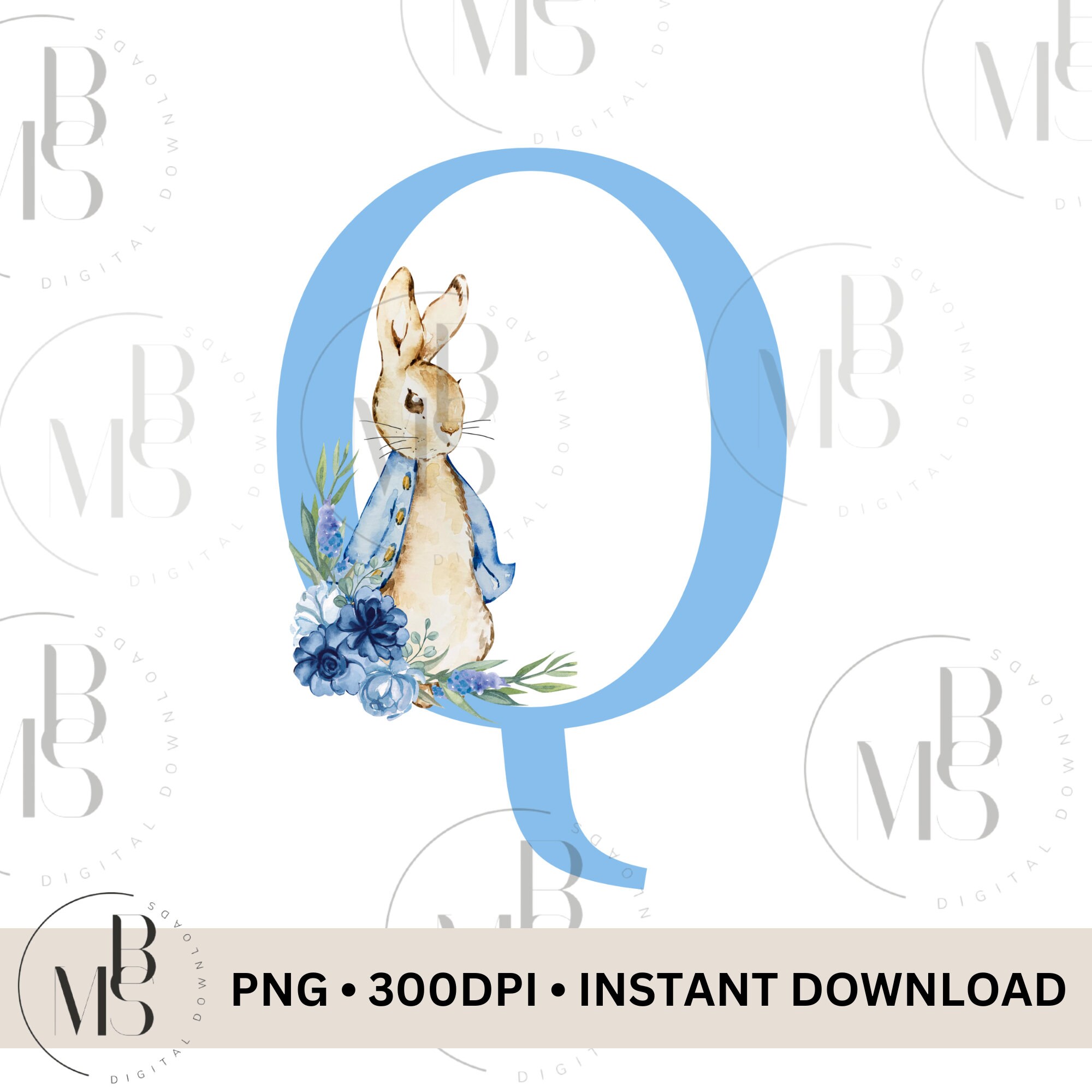 Peter Rabbit PNG | LETTER Q | Clipart | Downloadable | Instant Download ...