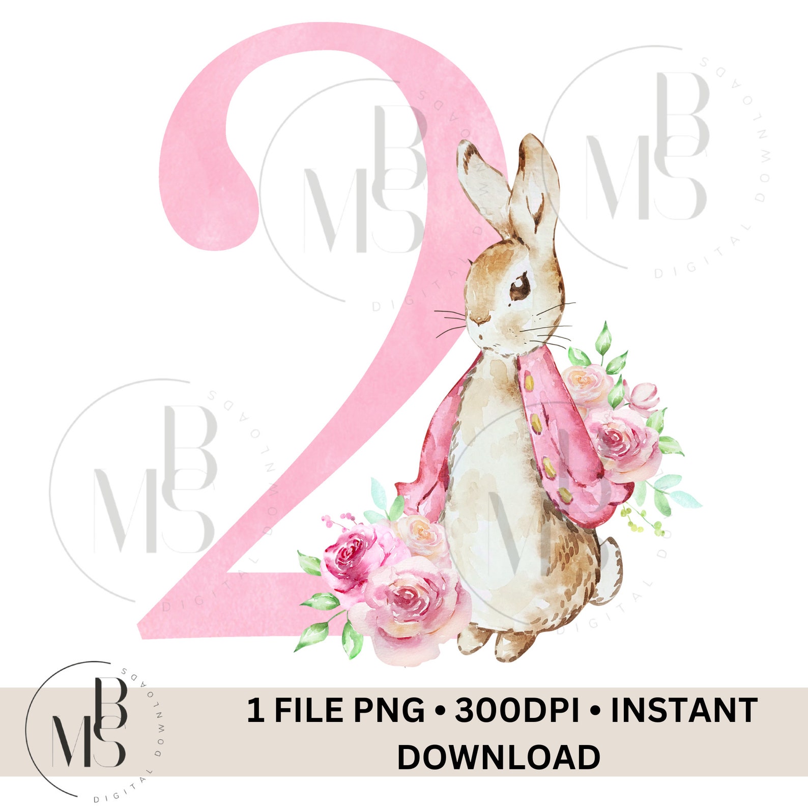 Flopsy Bunny Rabbit Watercolour Number TWO 2 Clipart Downloadable ...
