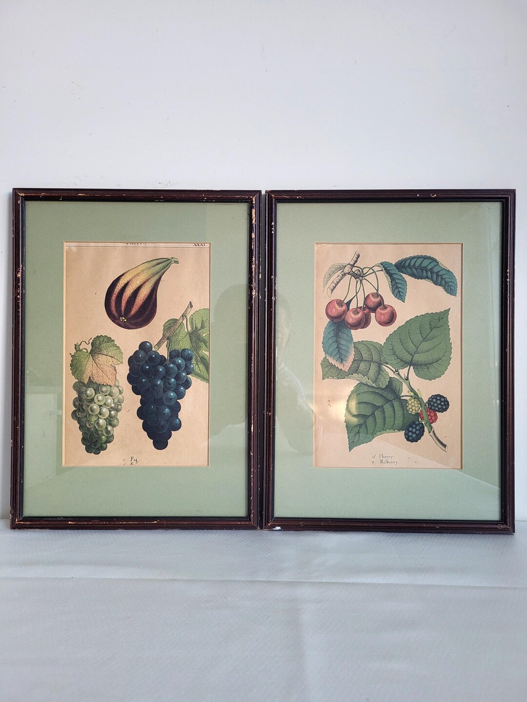 Pair of Antique Hand Colored Lithograph Print, Lessons From the ...