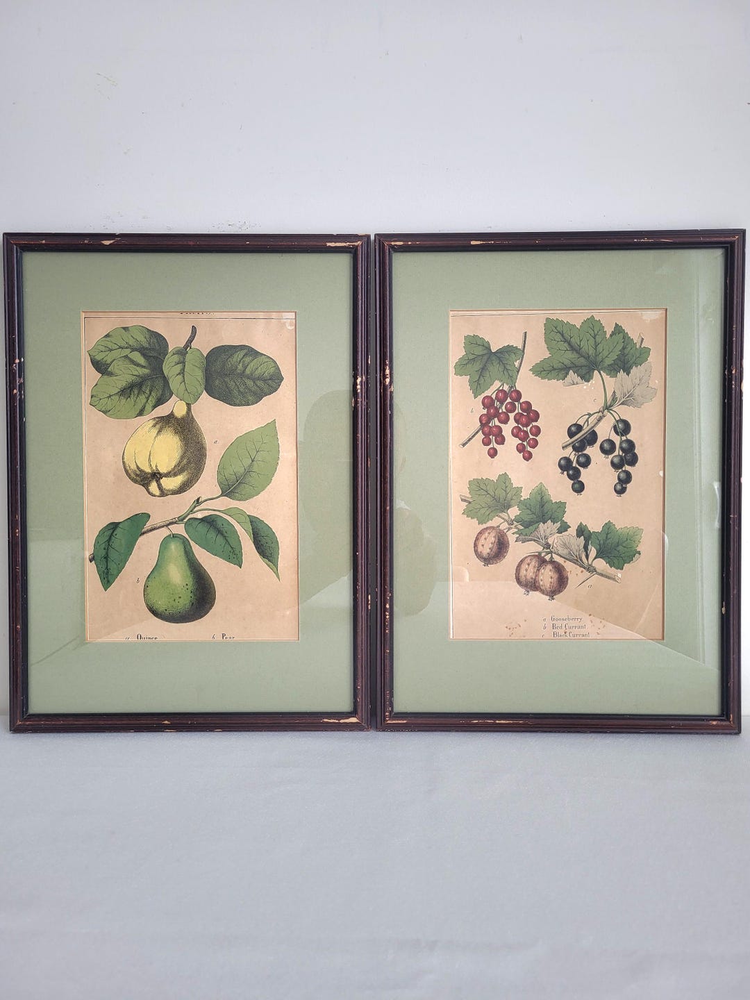 Pair of Antique Hand Colored Lithograph Print,lessons From the ...