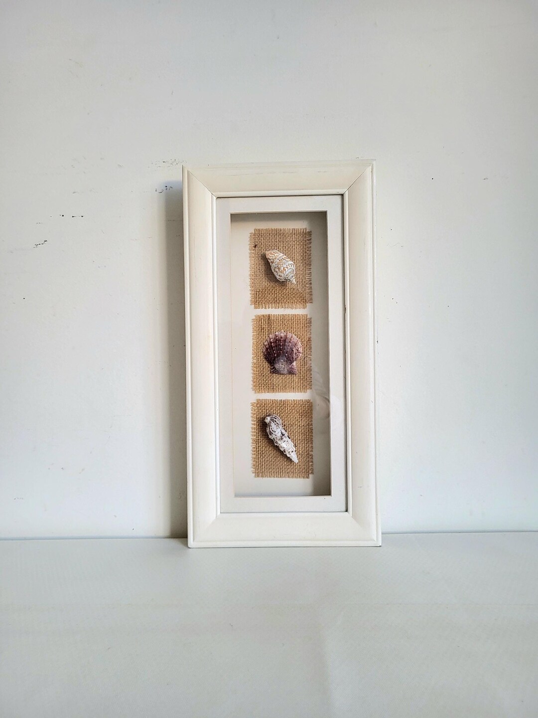 Vintage Framed Seashell Art: Coastal Wall Decoration (15.5") - Etsy