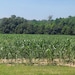 Stone-ground Popcorn Grits - Etsy