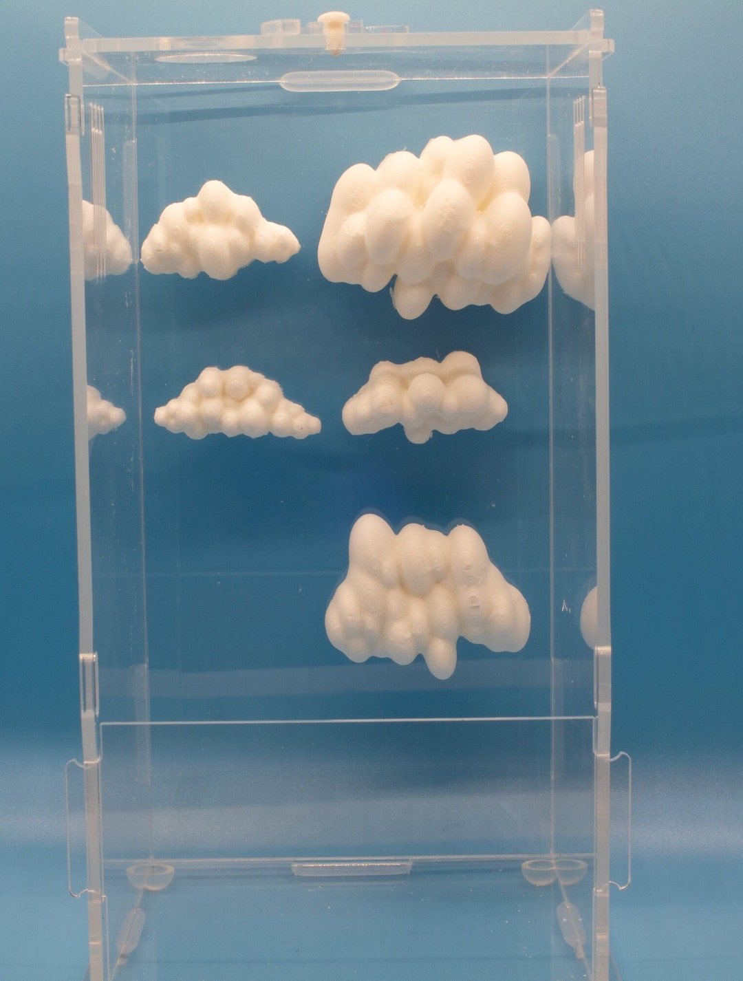 Magnetic Cloud Ledge 5 Pack for Jumping Spider Terrarium - Etsy