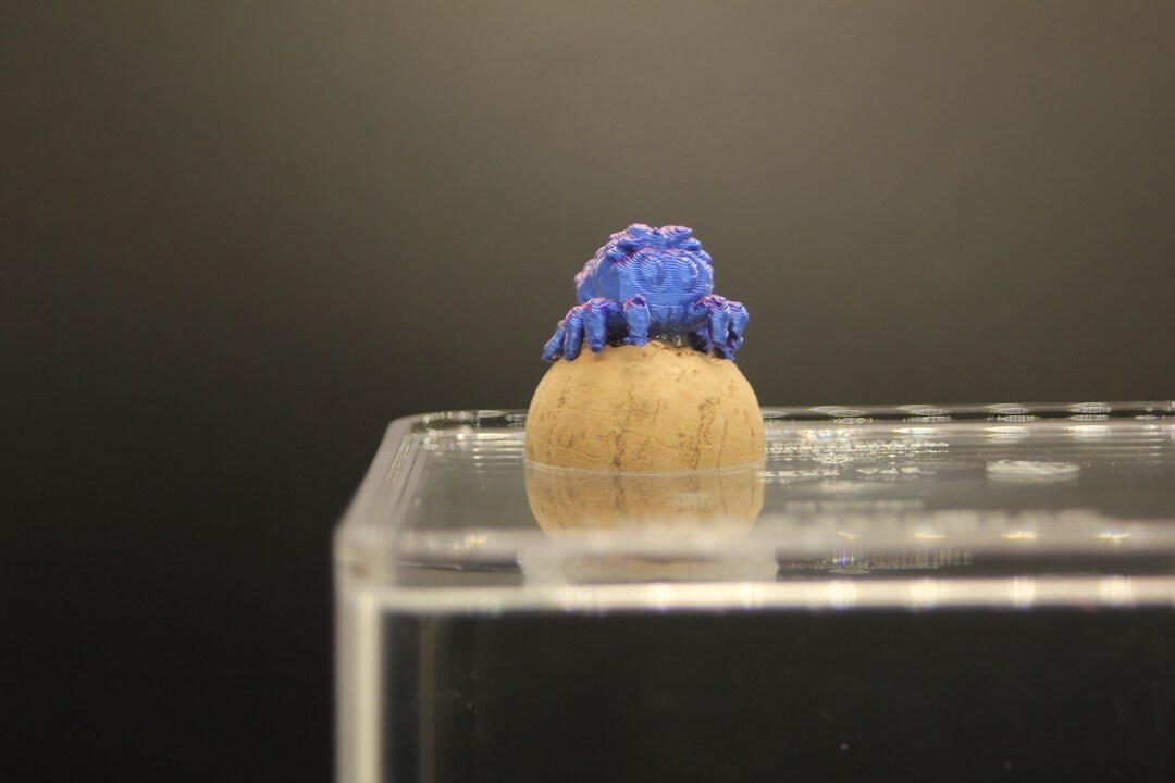 Chibi Jumping Spider on Cork for 1 Inch Hole or 3/4 Inch Option - Etsy