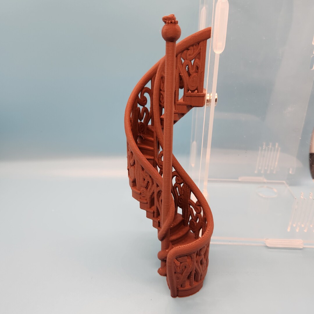 Jumping Spider Climber Spiral Staircase Spider Climber Jumping Spider ...