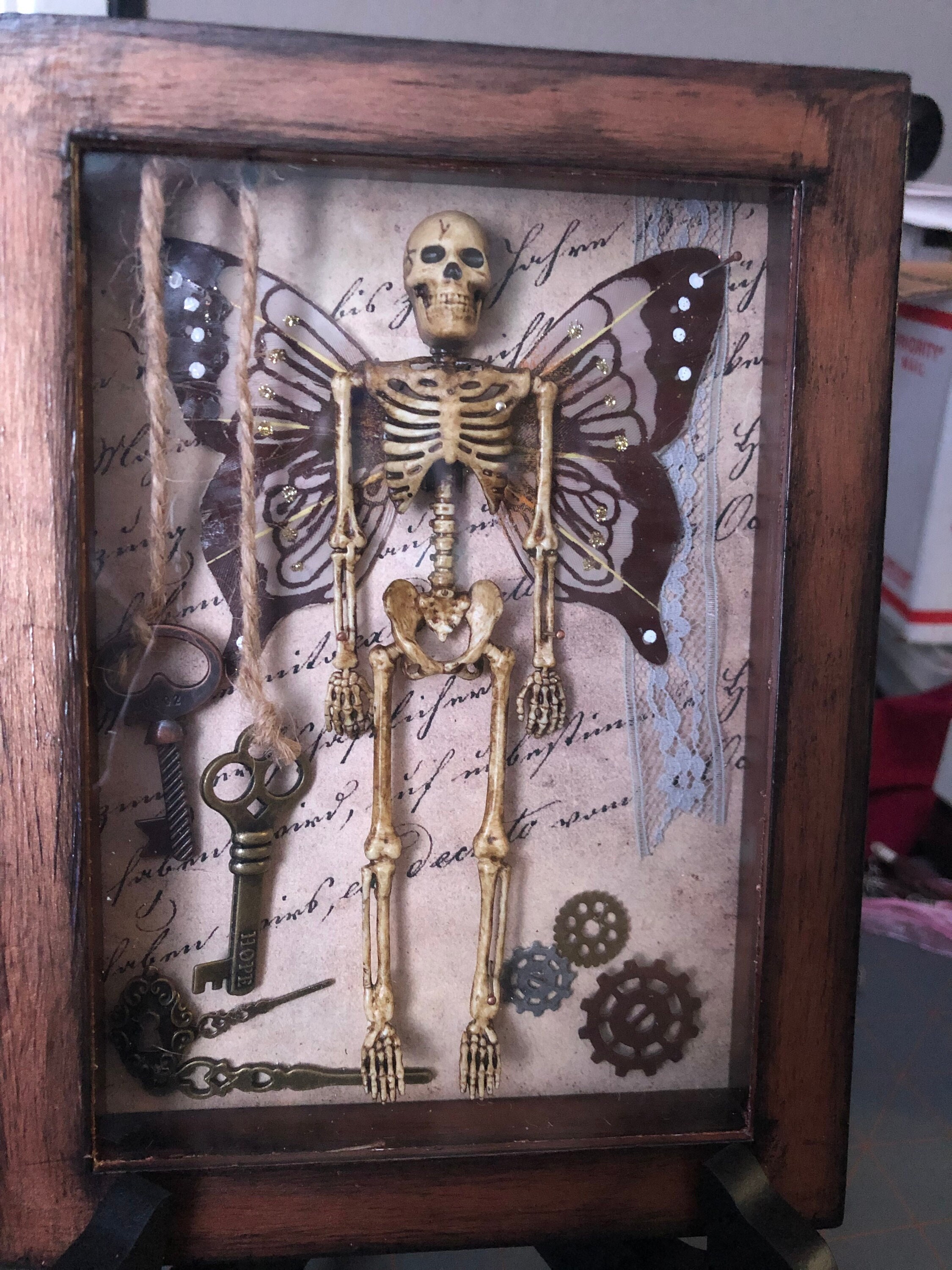 Steampunk Pinned Fairy Specimen framed - Etsy