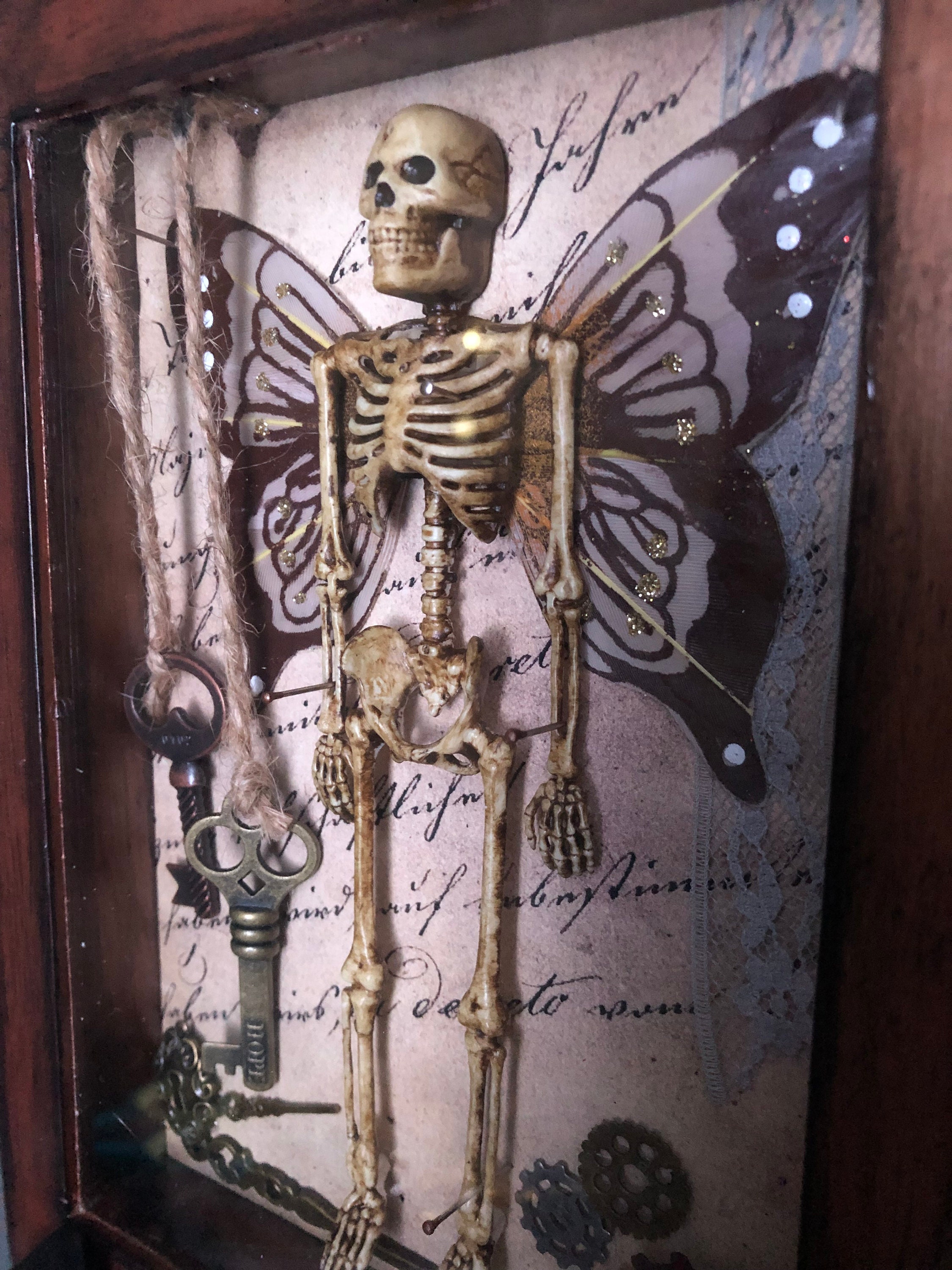 Steampunk Pinned Fairy Specimen framed - Etsy