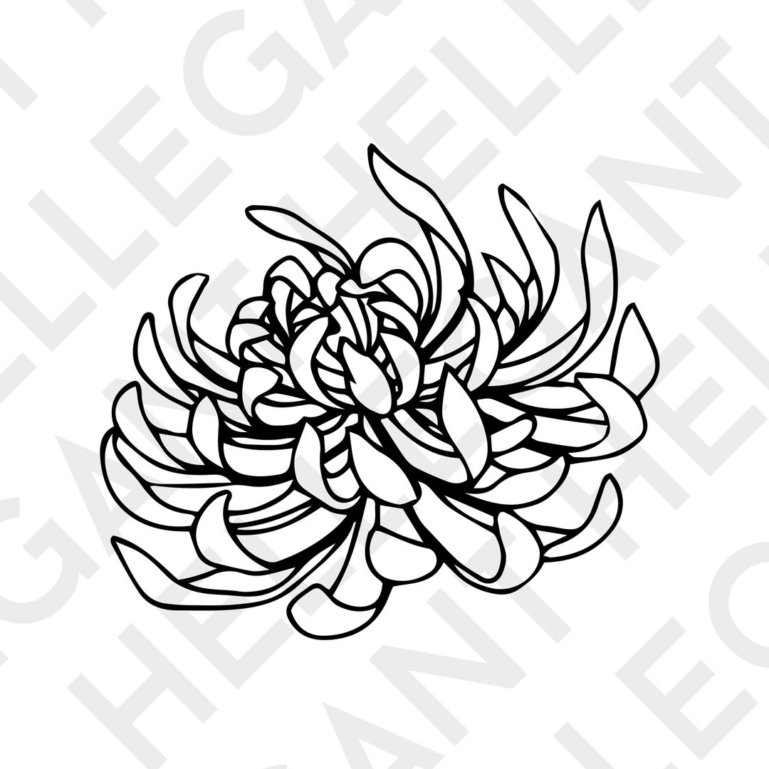 Japanese Chrysanthemum Flower Image SVG, PNG, EPS Files for Printing, T ...
