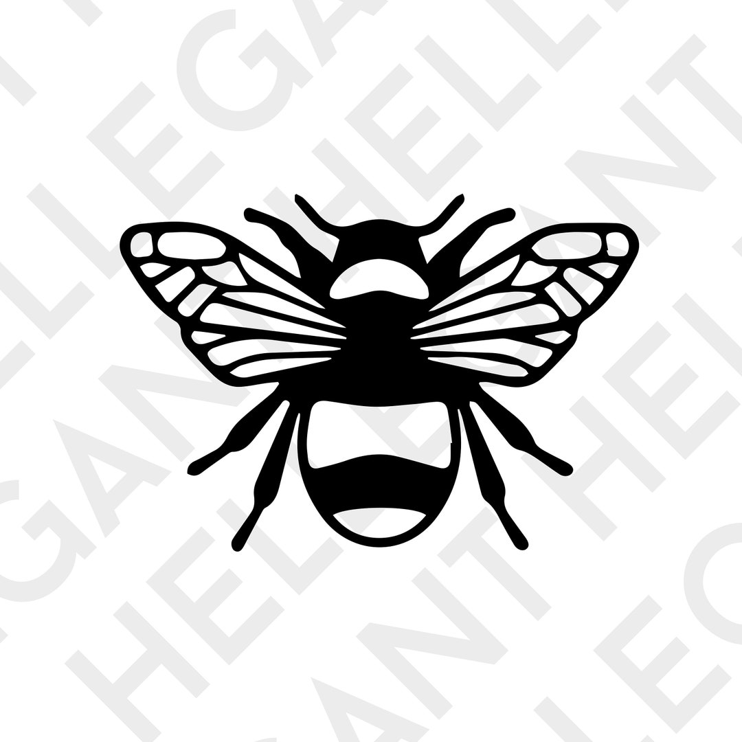 Bumble Bee Graphic SVG - PNG - EPS Files for Circuit Printing, T -shirt ...