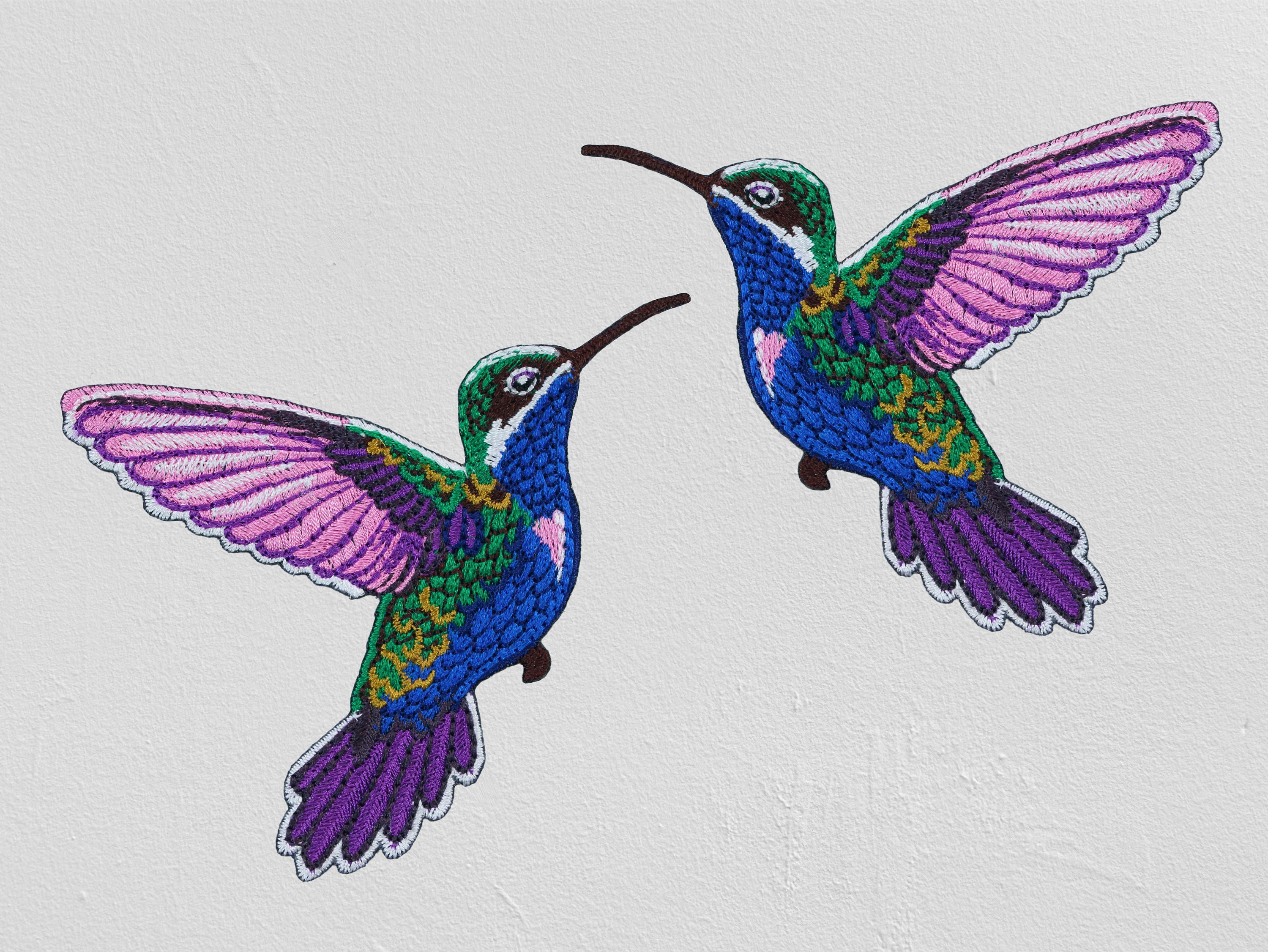 Set of Two Mirrored Colorful Hummingbirds, Iron on Bird Patches - Etsy