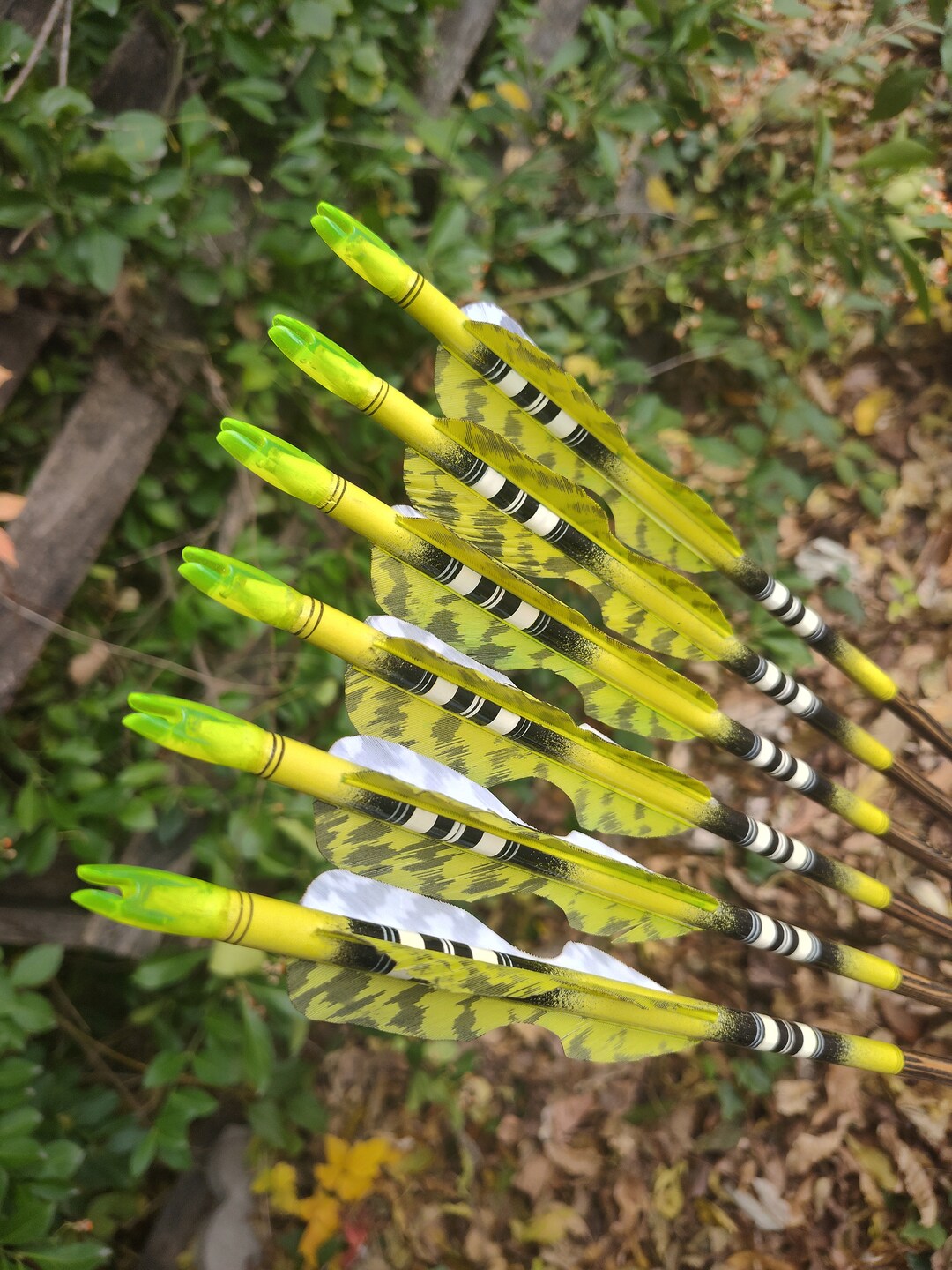 50-55 Douglas Fir Wood Archery Arrows Turkey Fletching Hunting - Etsy