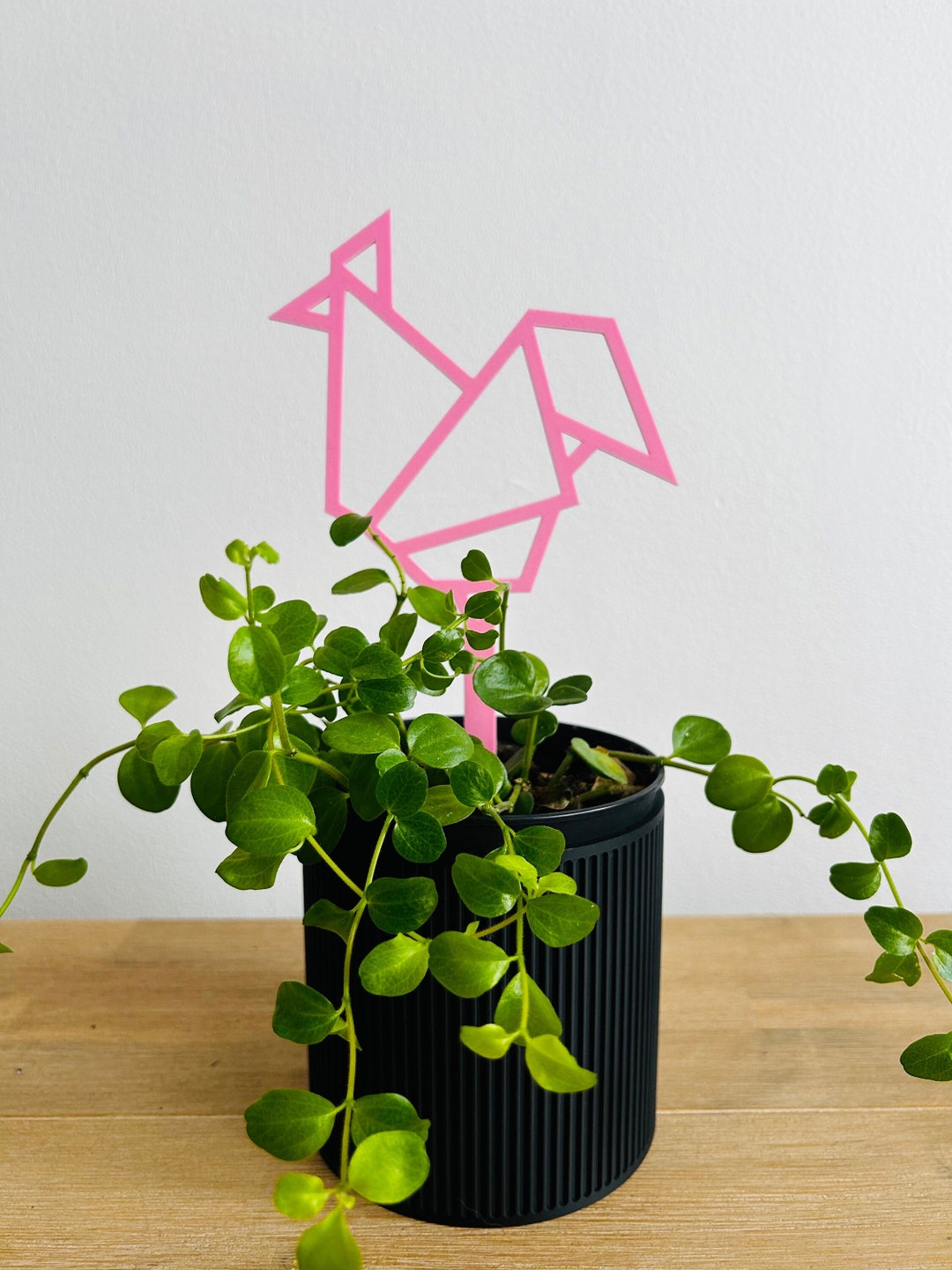 Rooster Plant Trellis Multiple Colours Plant Support - Etsy