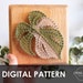 Small Monstera Leaf DIY String Art Pattern - Etsy