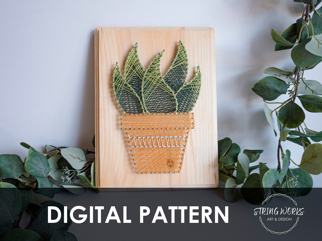 Succulent String Art Digital Pattern DIY Snake Plant - Etsy