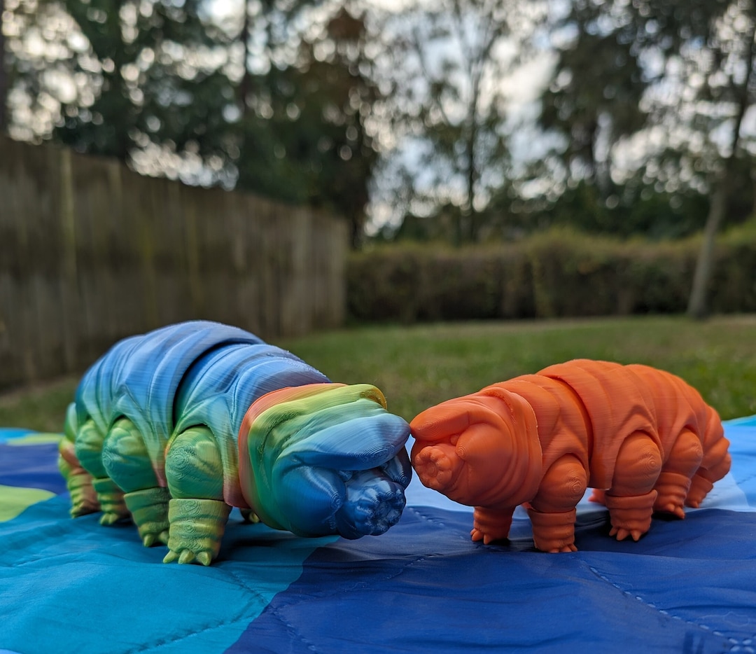 Tardigrade Colorful Articulated 3D Printed Figure – Science Model ...