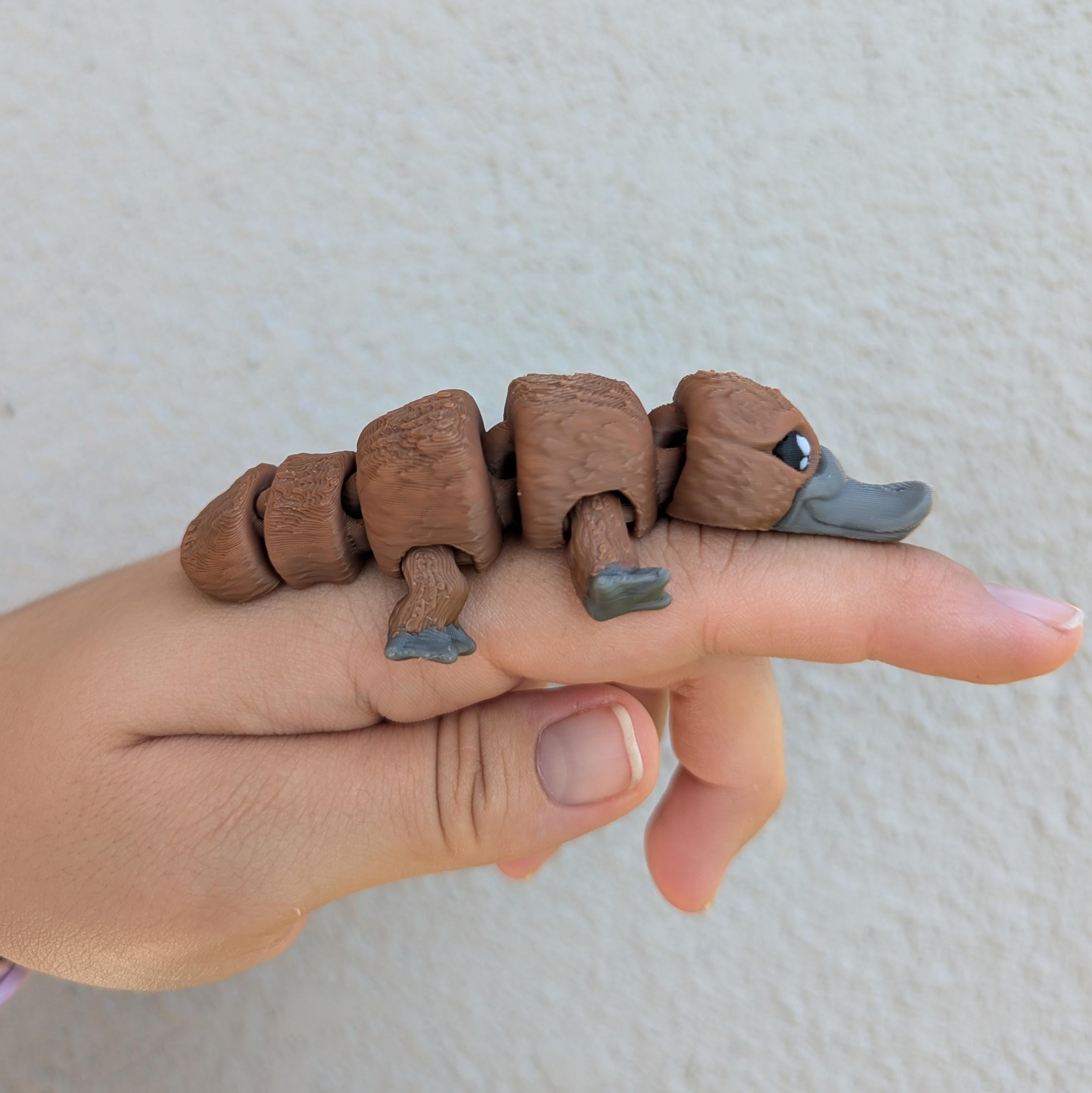 Mini Platypus Articulated 3D Printed Figure: With or Without Keychain ...