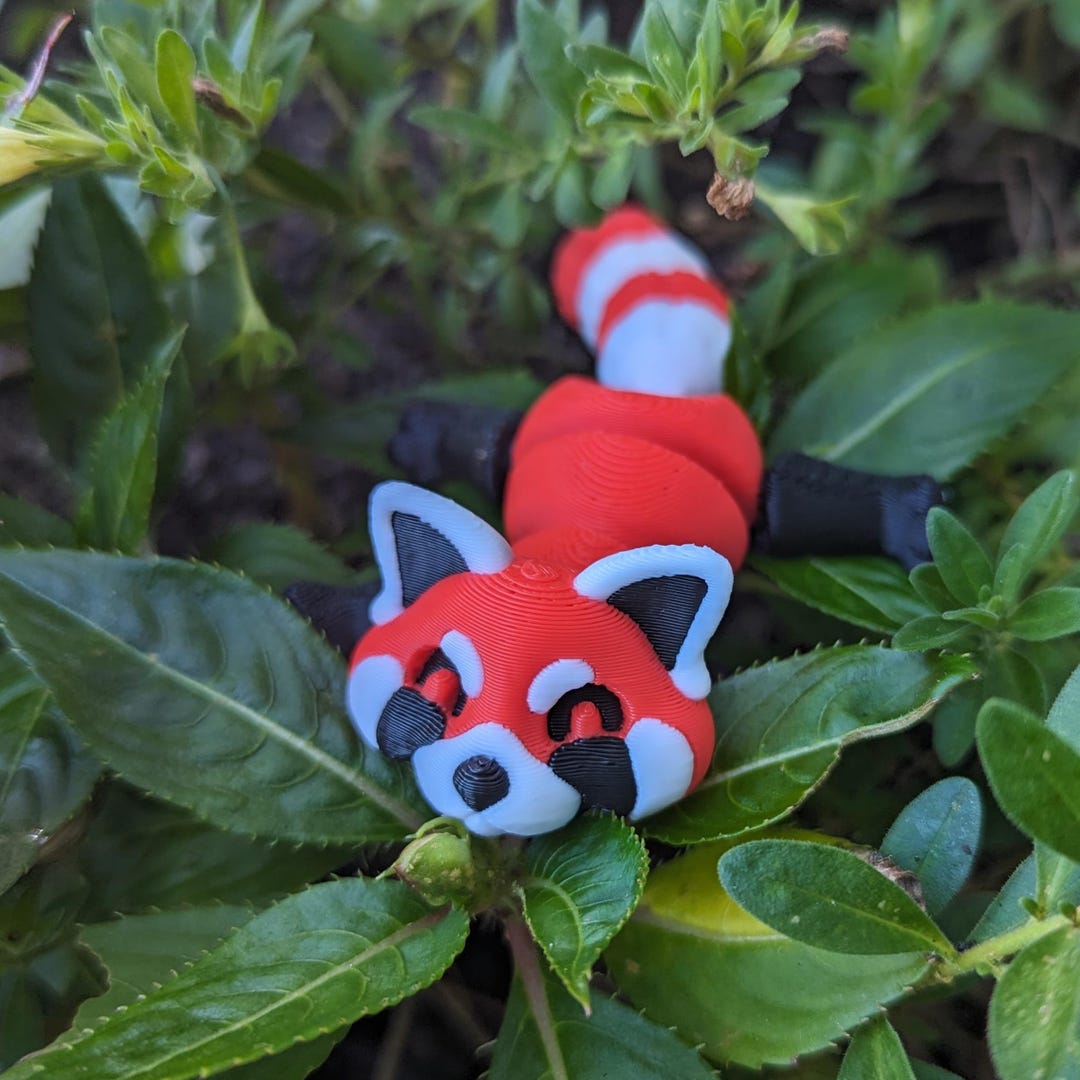 Flexi Red Panda 3D Printed Figure - Lesser Panda - Fire Fox - Red Cat ...