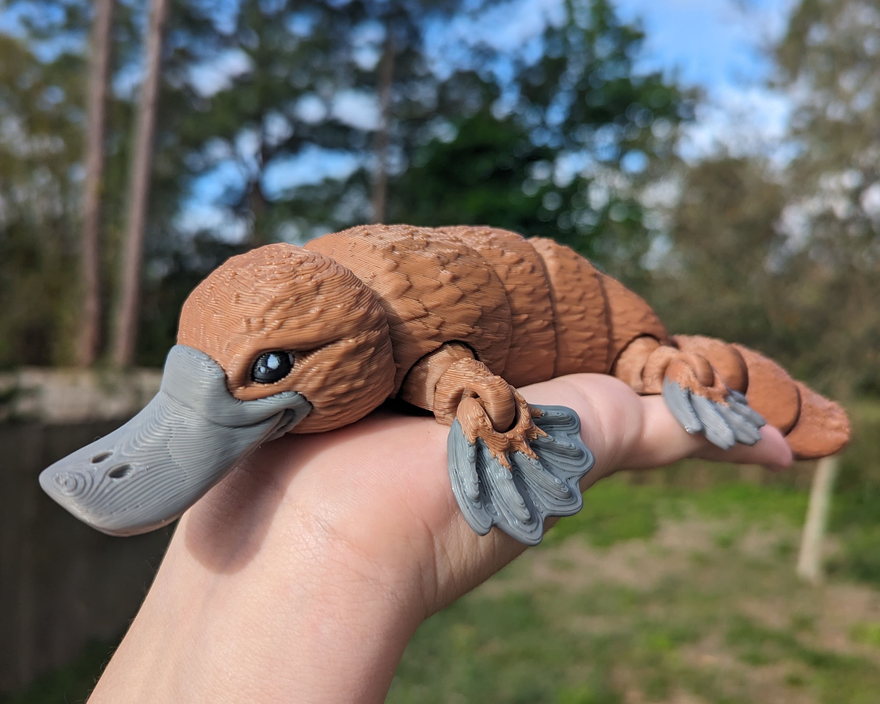 Platypus Large Articulated 3D Printed Figure - Posable Desktop ...