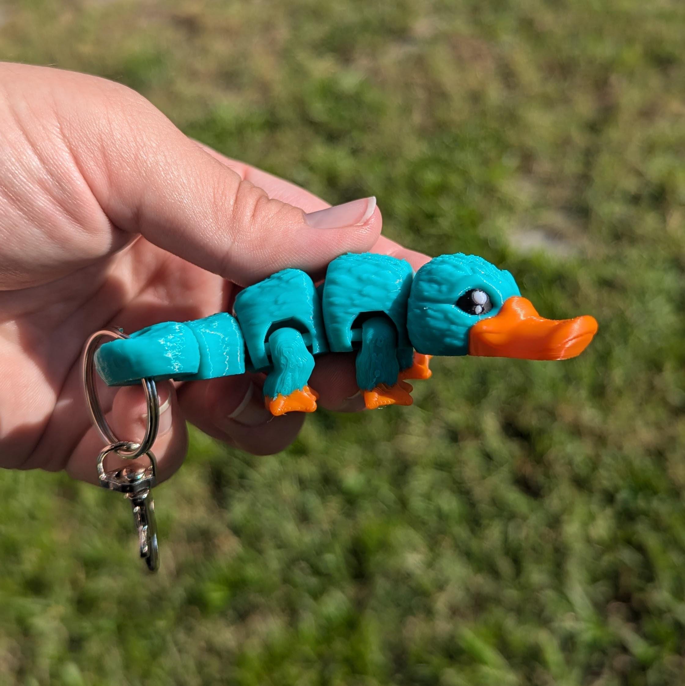 Mini Platypus Articulated 3D Printed Figure: With or Without Keychain ...
