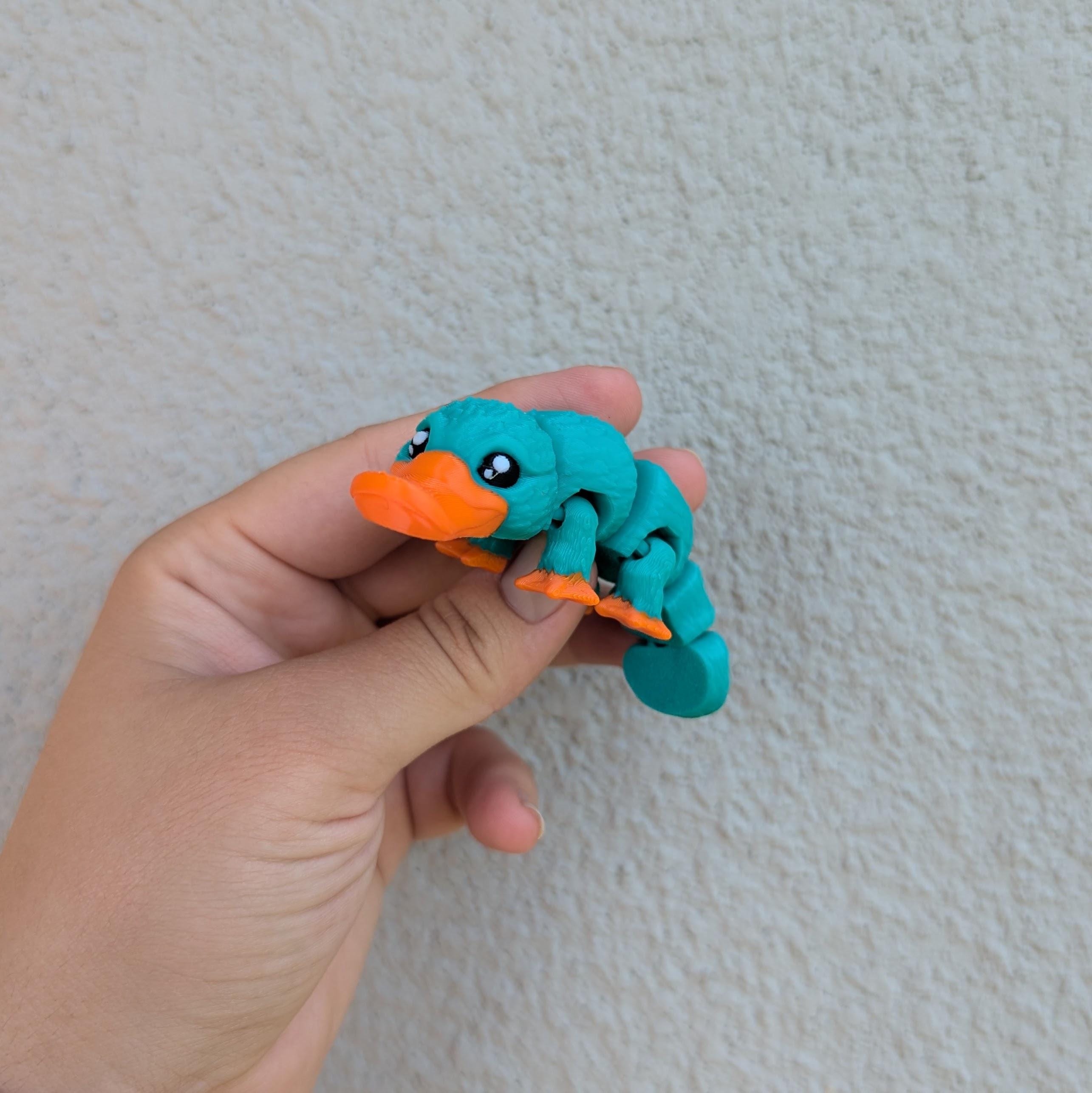 Mini Platypus Articulated 3D Printed Figure: With or Without Keychain ...