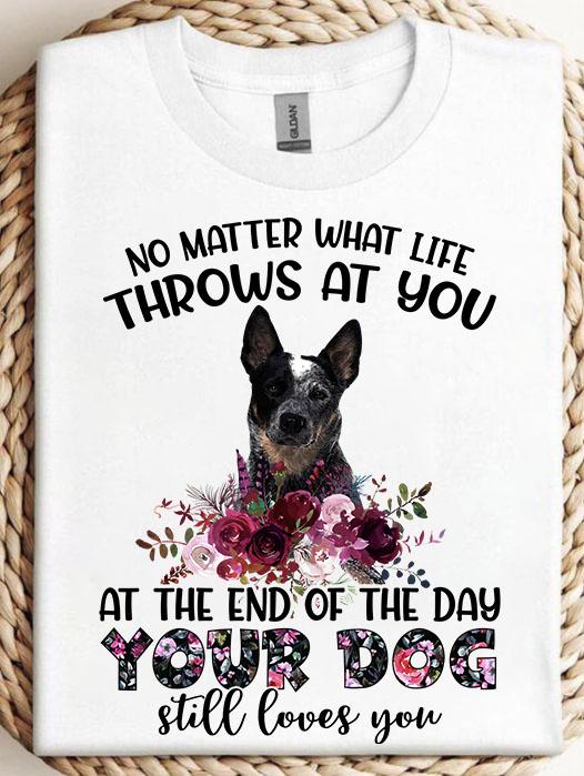 Blue Heeler Quotes X47 BUNDLE Png, Australian Cattle Dog Svg Bundle ...