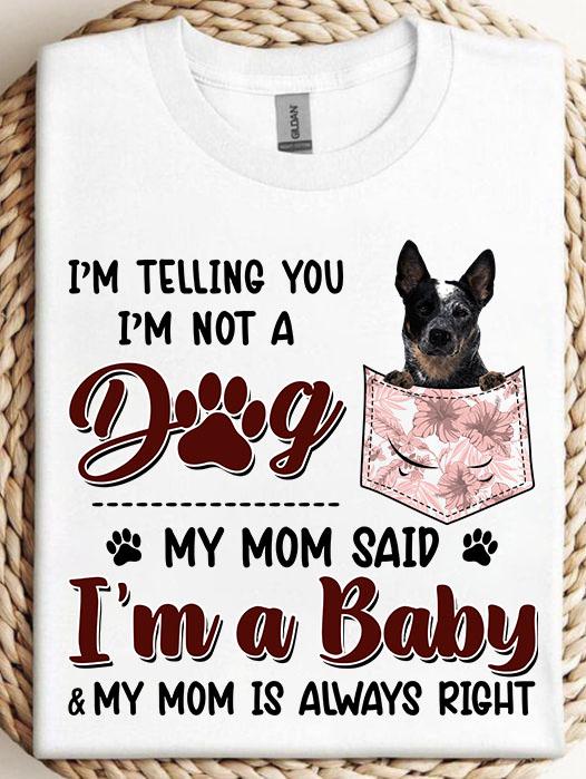 Blue Heeler Quotes X47 BUNDLE Png, Australian Cattle Dog Svg Bundle ...