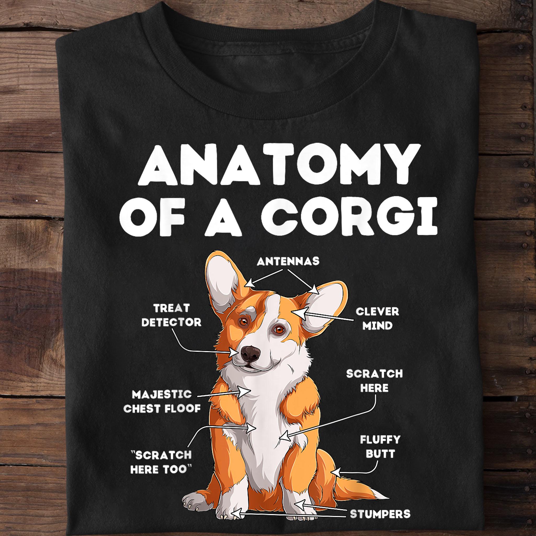Funny Corgi Quote PNG Bundle | 47 Dog Lover Cliparts for T-shirt, Mug ...