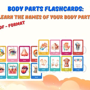 Body Parts Flashcards for Kids: A Fun & Educational Way to Learn ...