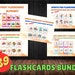 Exciting Bundle of 139 Flashcards for Kids: Sports, Landmarks, Science ...