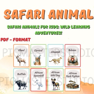 35 Wild Adventures Await: Safari Animal Flashcards for Kids Explore the ...