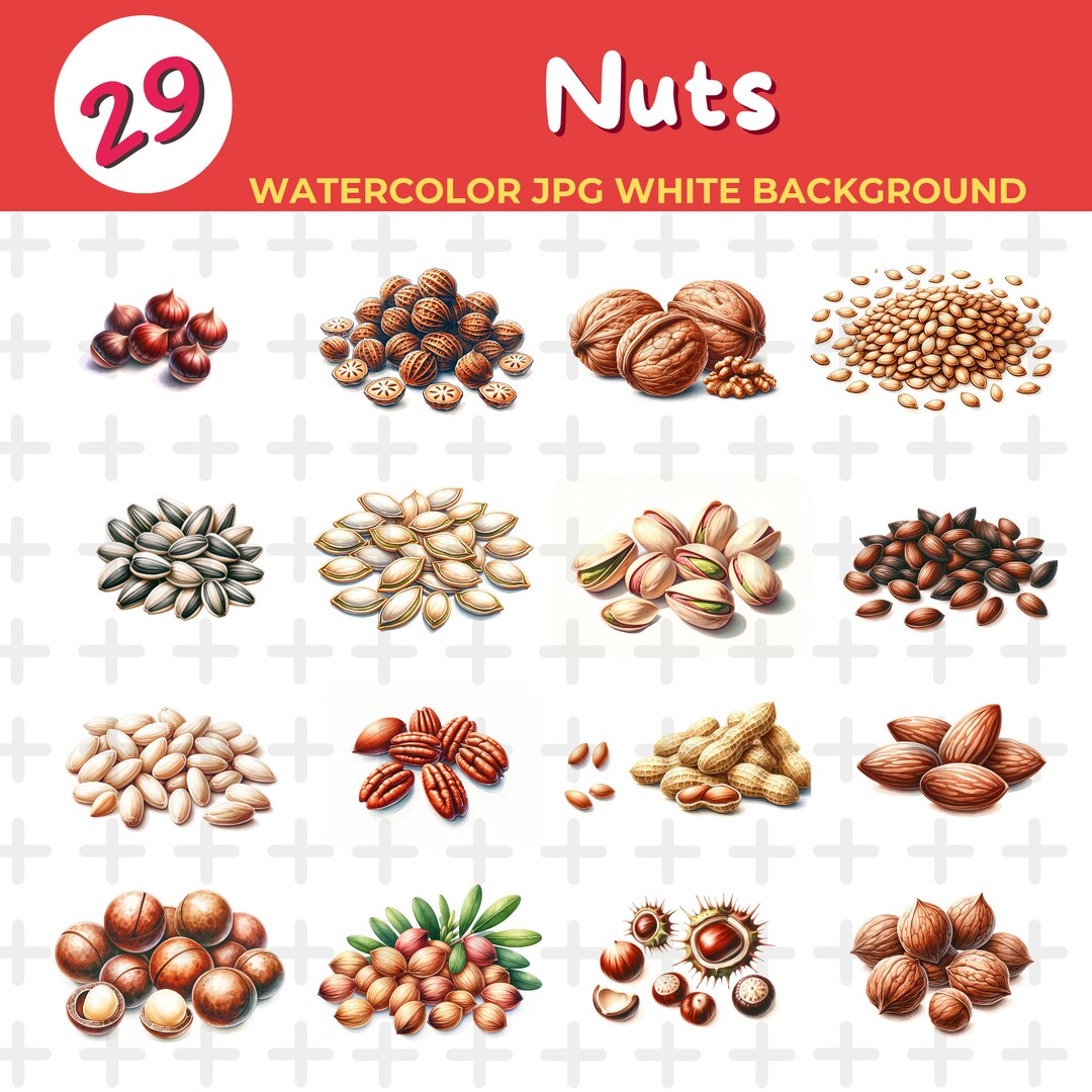 29 Nuts Watercolor JPG White Background 300 DPI Kids Nuts Art Nut ...