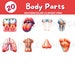20 Human Body Parts Clip Art PNG - Etsy