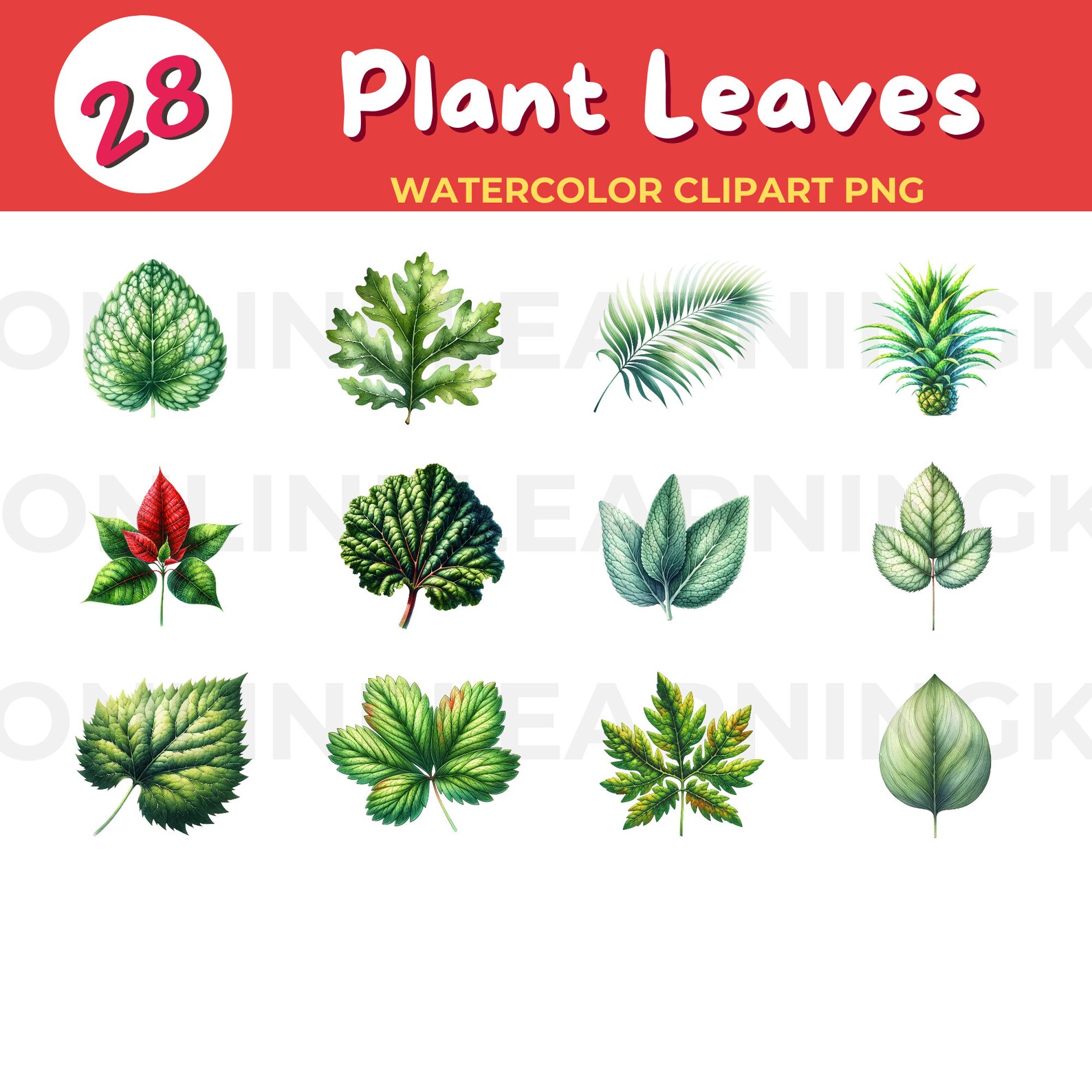 28 PNG Plant Leaves Clip Art Kids Plant Leaves Watercolor Plants Child ...